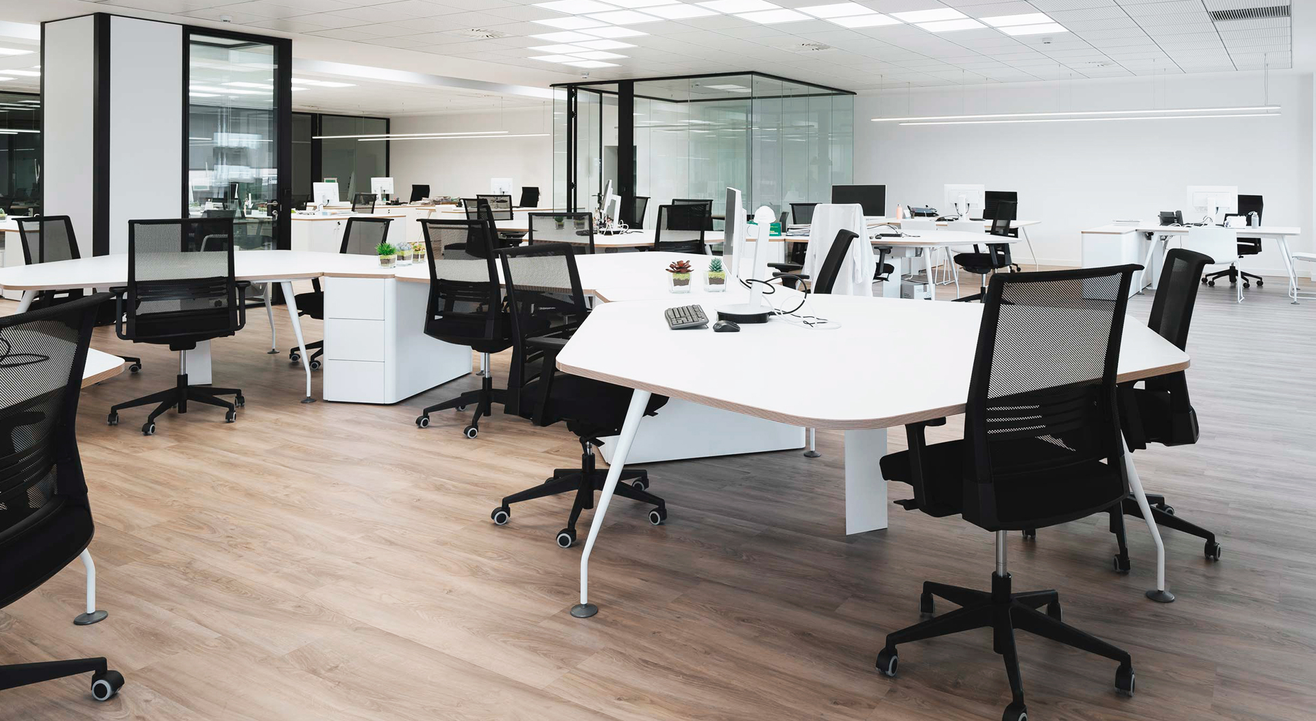 Workspaces, present and future, are sustainable - Dynamobel ...